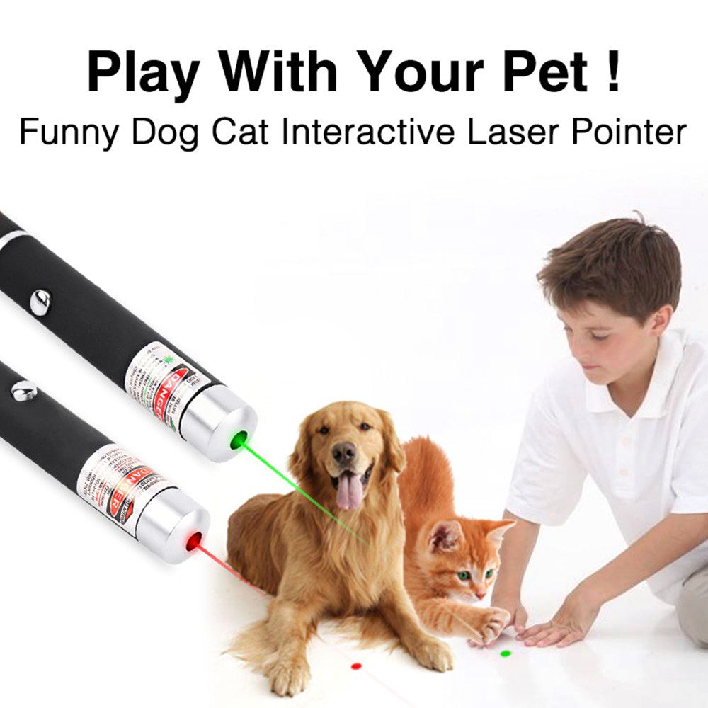 Mini 5MW Office School Use Funny Pet For Work Teaching Training ...