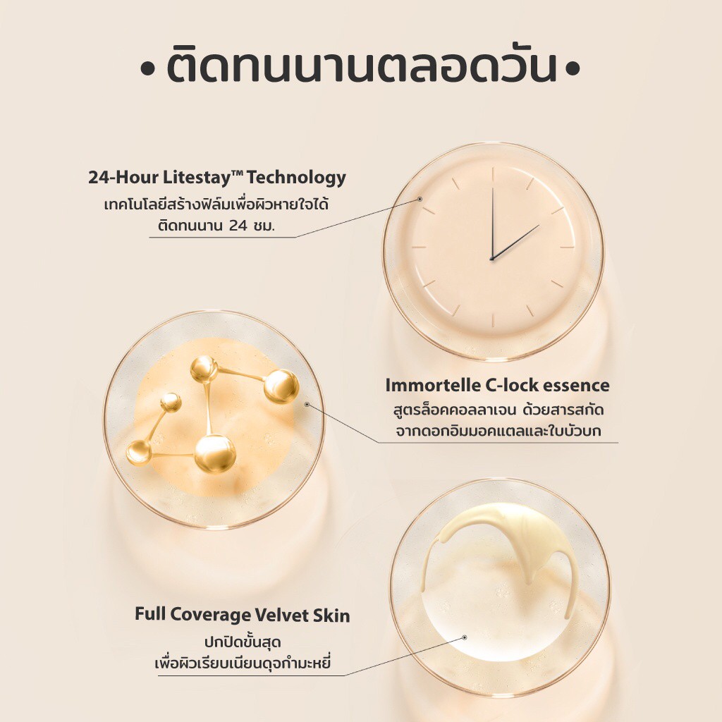 Y.O.U Noutriwear+ Velvet Liquid Foundation 20 ml. รองพื้นชนิดน้ำ ติดทน ...