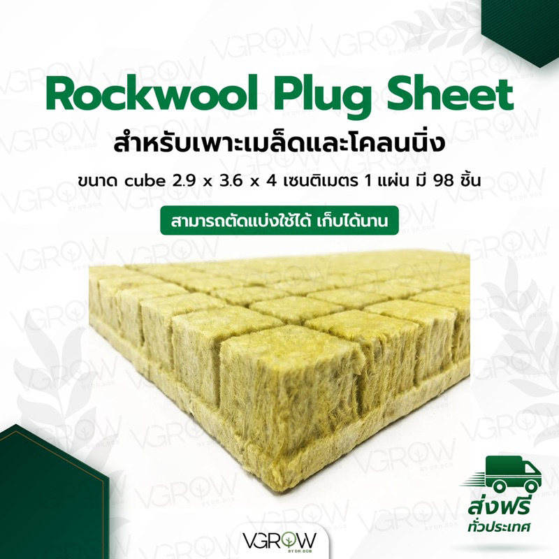 Rockwool plug sheet Upuper ร็อควูล สำหรับการเพาะเมล็ดและโคลนนิ่ง ...