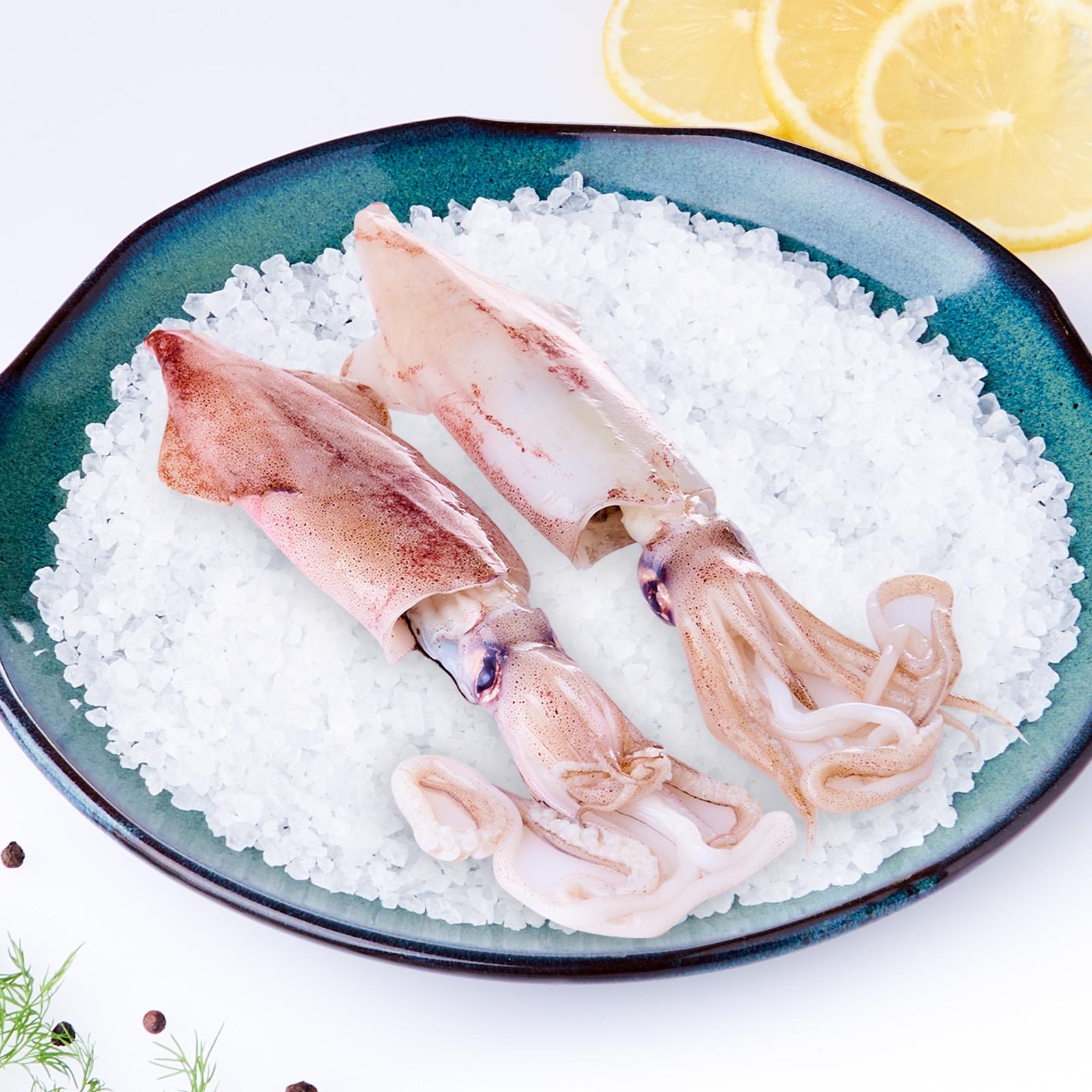 Jurong Fish Market Fresh Whole Squid | Lazada Singapore
