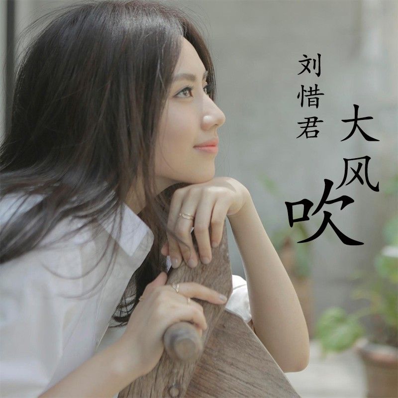 GISU MALL-（简装）华语粤语国语经典专辑 刘惜君 “大风吹” Sara Liu Mandarin Cantonese Classic ...