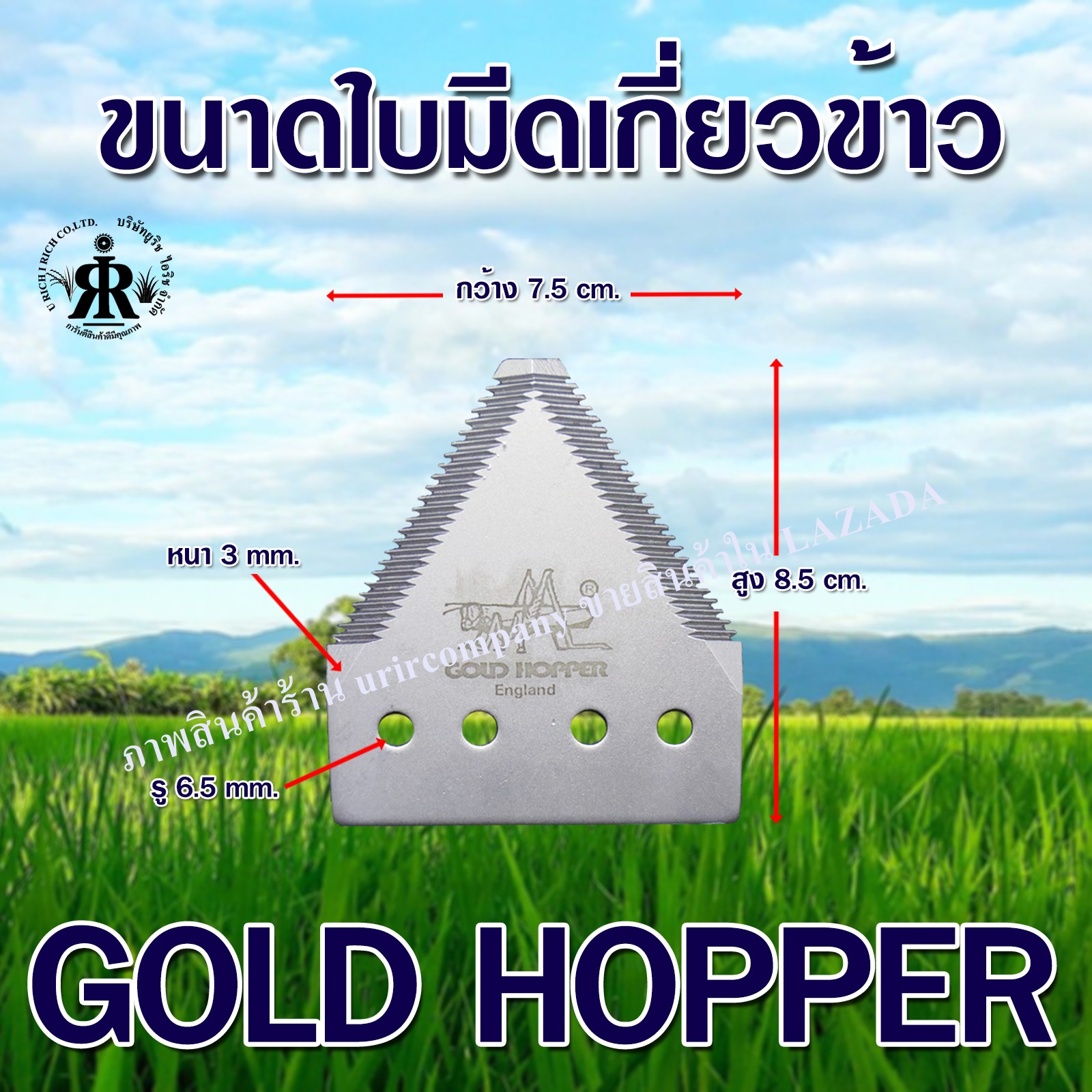 ใบมีดเกี่ยวข้าว GOLD HOPPER (ชุด 4 ใบ) ฟรีน๊อต 8 ชุด - urircompany ...
