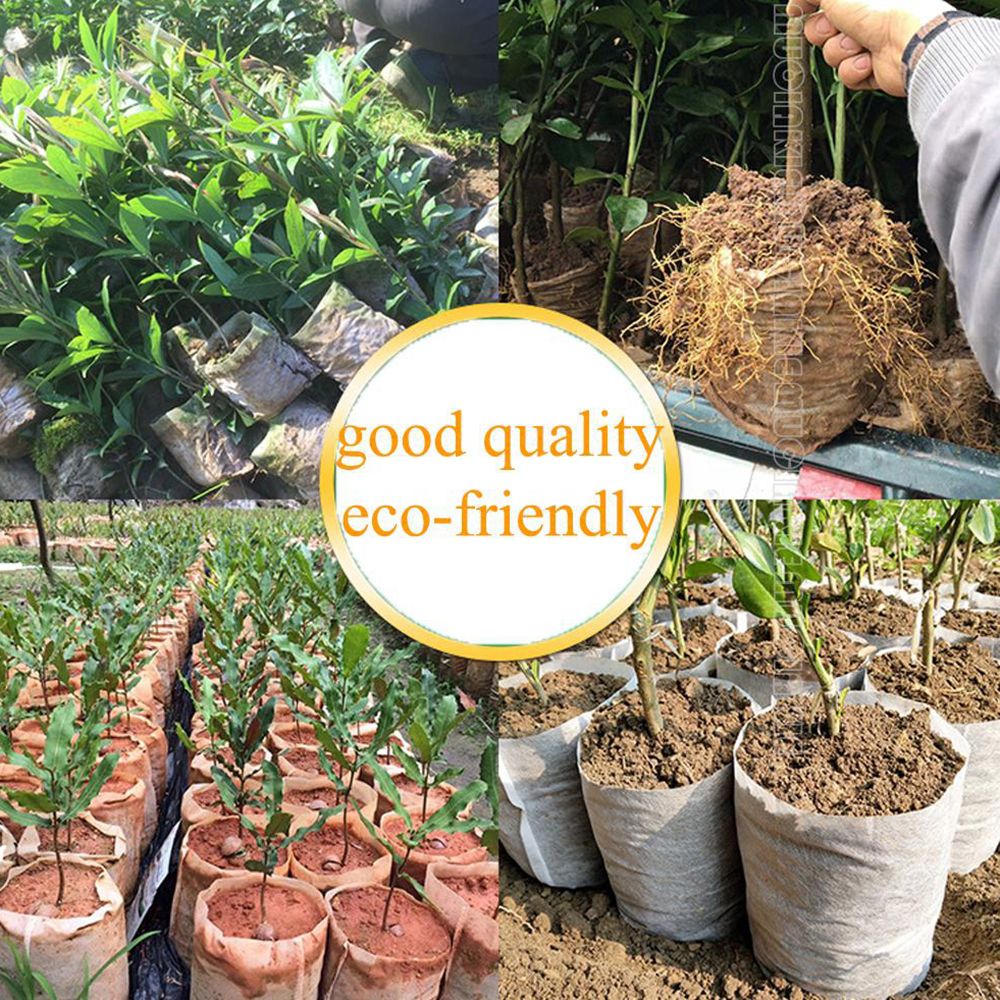 Fabric Organic Vegetable Seedling Raising Growing Ventilate Nursery ...