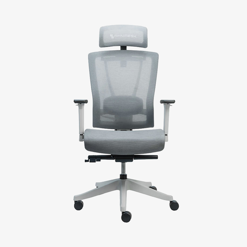 Omnidesk™ Embrace Pro - Ergonomic Office Chair | Lazada Singapore