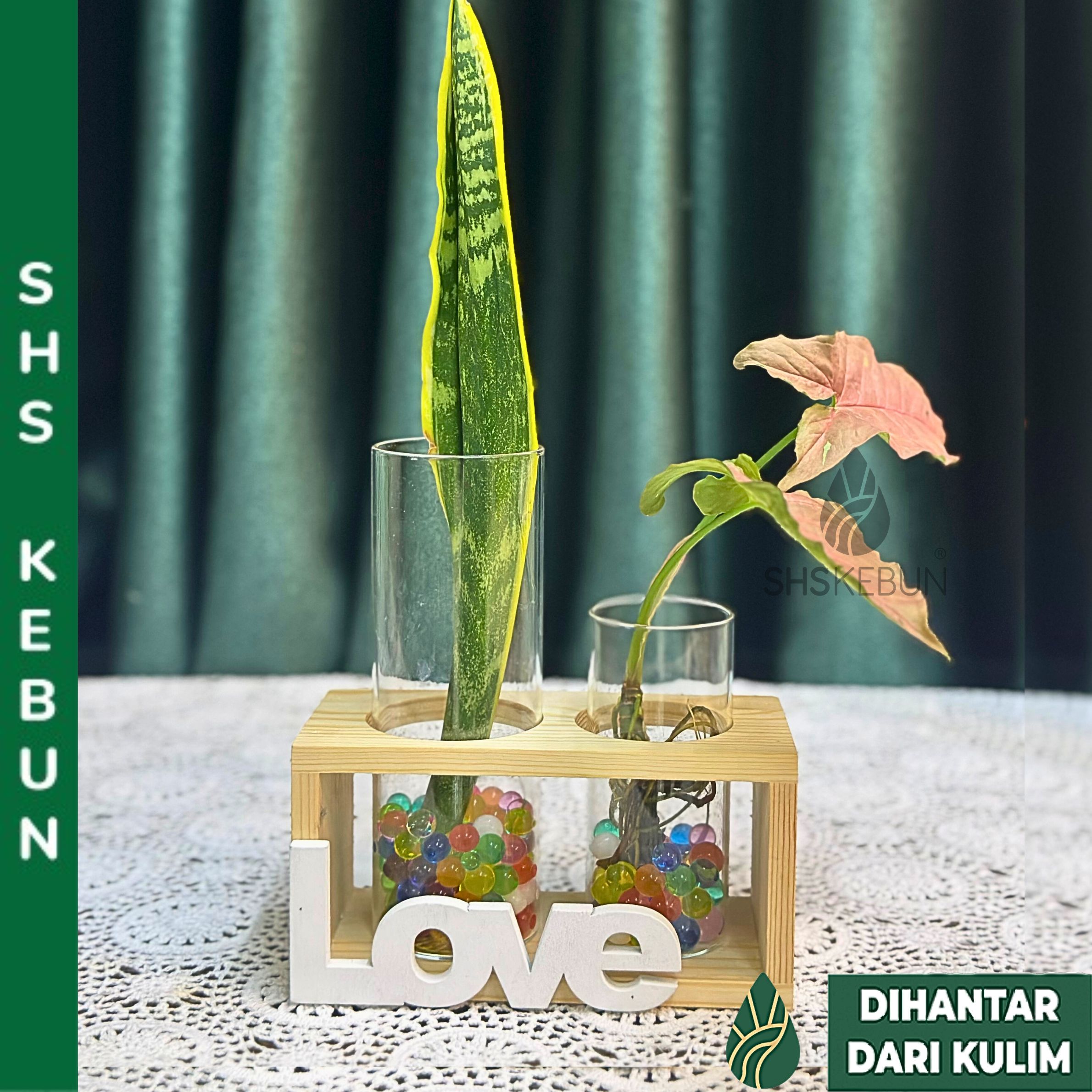 Home Decoration Flower Glass Vase with Wooden Rack Pasu Kaca dan Rak ...