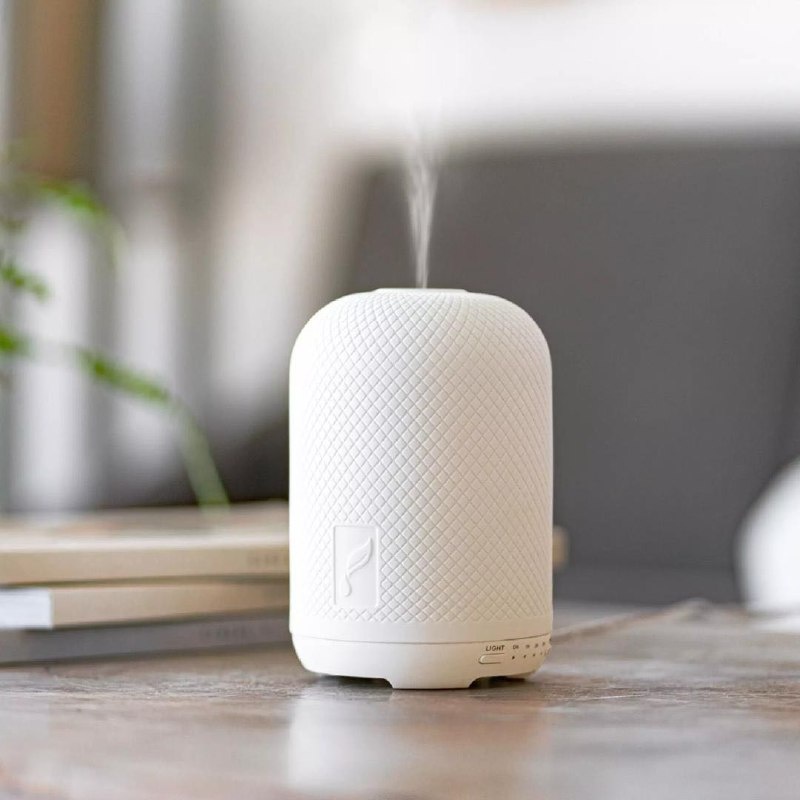 Young Livings Haven Ceramic Diffuser Ultrasonic Diffuser House ...