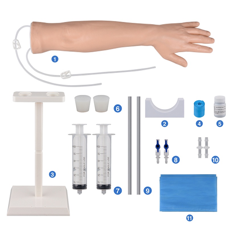 Simulated Adult Arm and Hand Kit for Multi Venous IV Practice Injection ...
