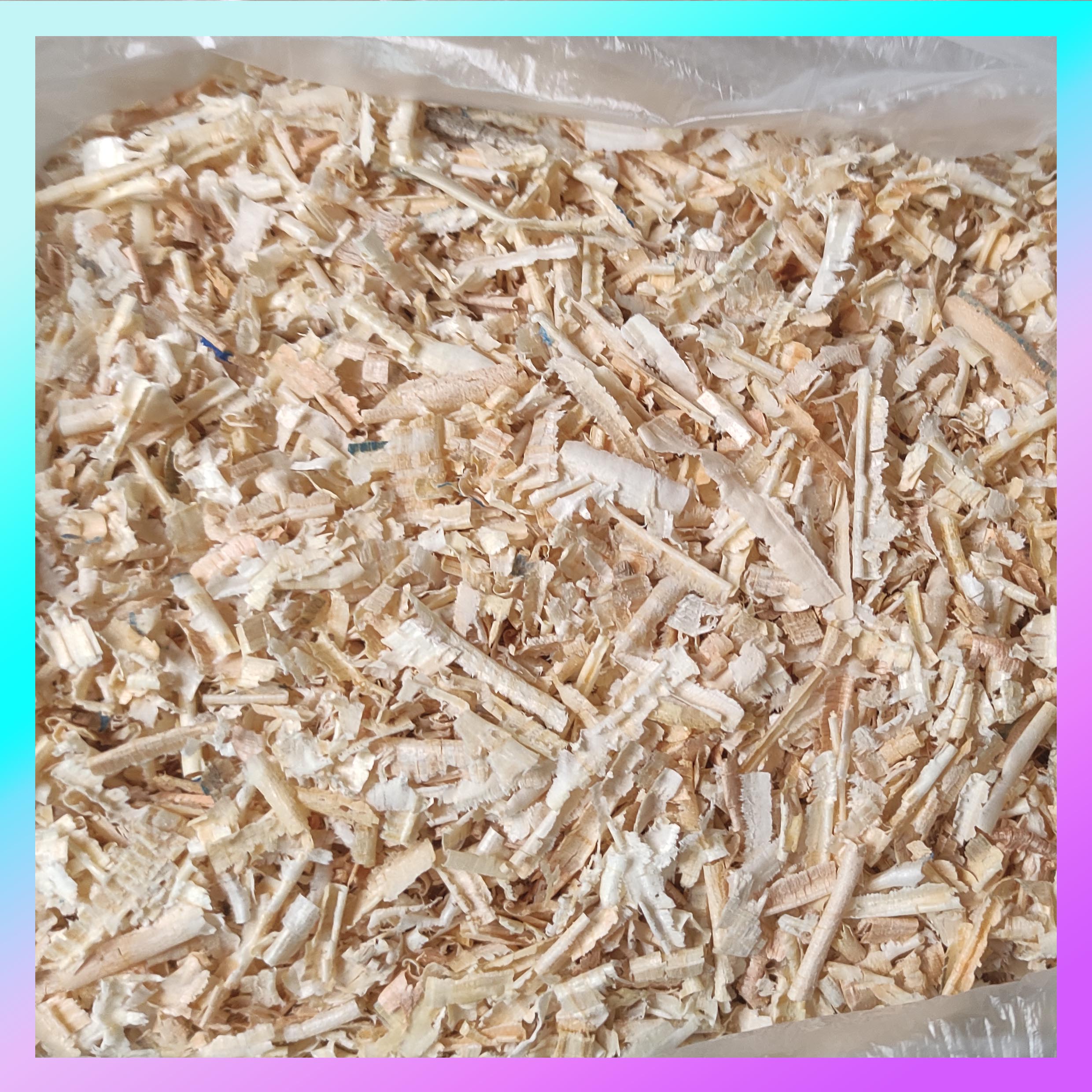 KUSOT PALOCHINA 1 SACK 4KG CHIPSI TYPE BISTAY NA | Lazada PH