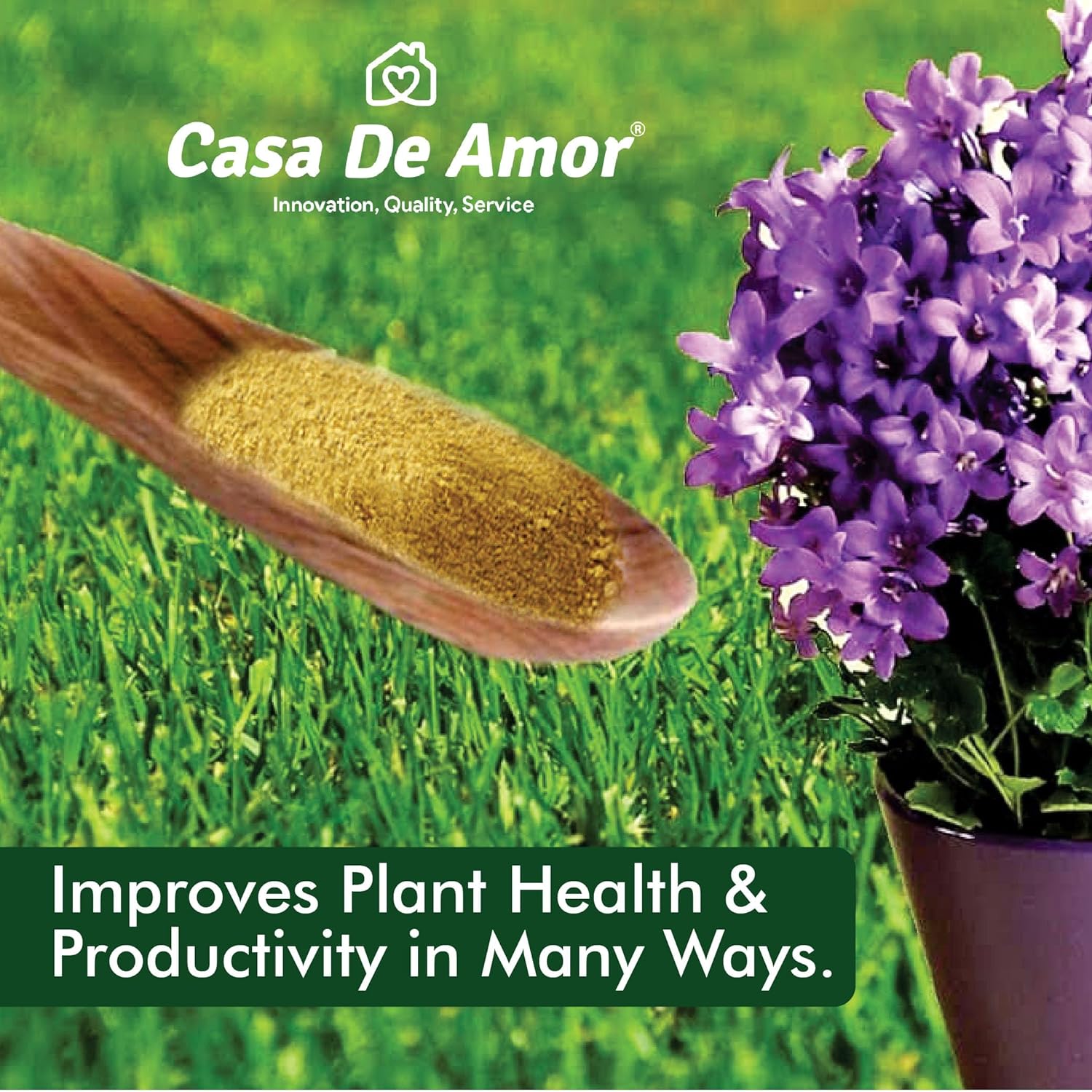 Casa De Amor Mustard Oil Cake Powder Natural Essential Fertilizer for ...