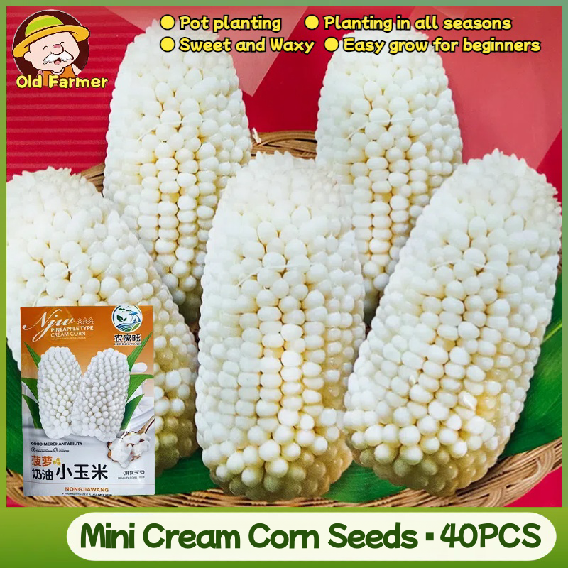 100% Original Mini Friut Corn Seeds for Planting (Mini Strawberry Corn ...