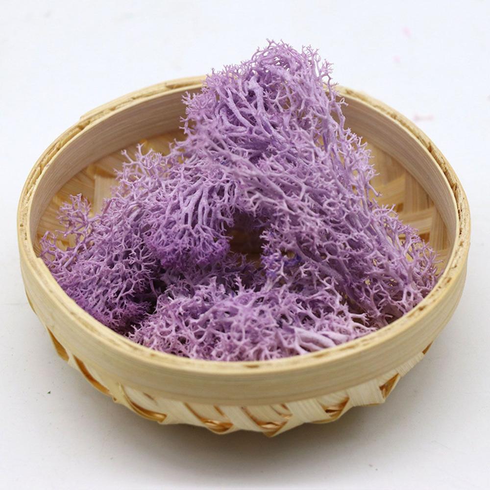 Garden DIY Flower Christmas Home Decor Decoration Reindeer Moss Eternal ...