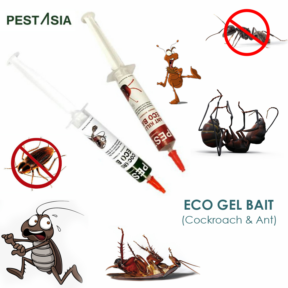 PEST ASIA. ECO BAIT 10G. Cockroach Killer. Ant Killer. Cockroach Eco ...