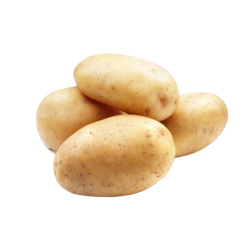 Kentang AB / Kentang Kuning 1 kg | Lazada Indonesia