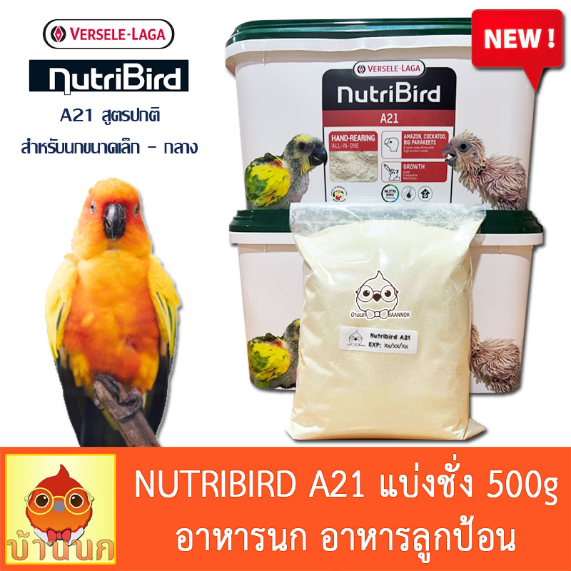 A21 Nutribird 3kg (EXP 310823) - อาหารนก ลูกป้อน นูทรี ขนาด 3 กิโลกรัม ...