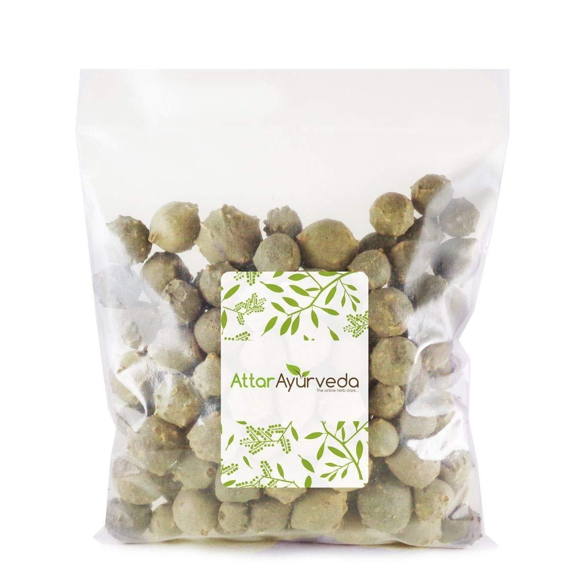 Majuphal - Manjakani - Gall Oak - Quercus Infectoria (POWDER) (100 ...