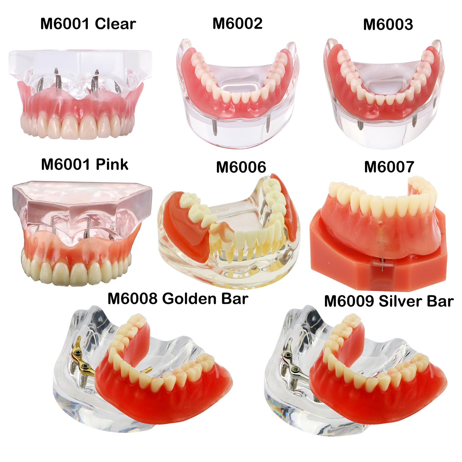 【High-quality】Dental Teeth Model Dental Teaching Models Implant Model ...