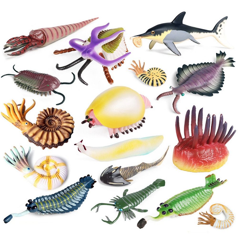 Baculites Prehistoric Ocean Animal Figure Simulation Anomalocaris ...