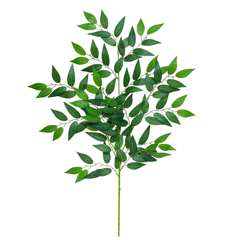 Simulation date palm leaves single spring Mori Eucalyptus bean flower ...