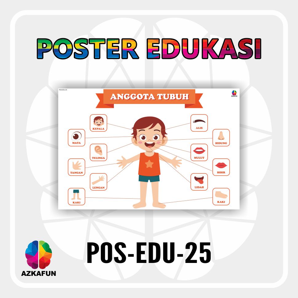 Poster Edukasi ANGGOTA TUBUH - Poster edukasi anak | Lazada Indonesia