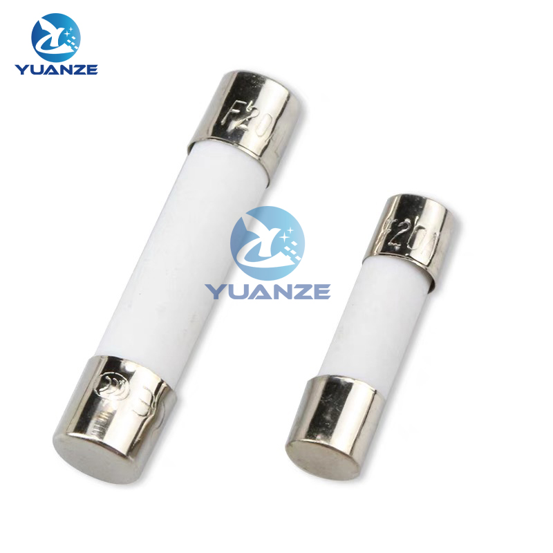 10pcs 5*20mm 6*30mm Fast Blow Fuses 250V 0.1 0.2 0.3 0.5 1 2 3 4 5 6 8 ...