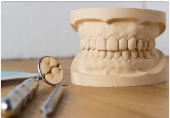 Dentulous/ Edentulous Cast | Lazada PH