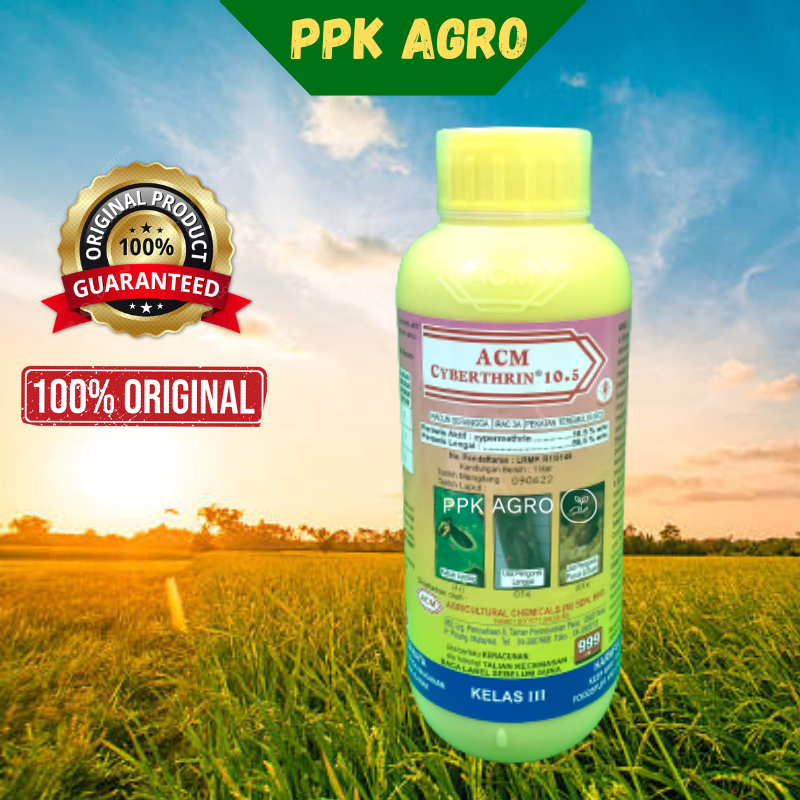1L ACM Cyberthrin 10.5 Racun 505 / Racun Serangga / Racun Sayur / Racun ...