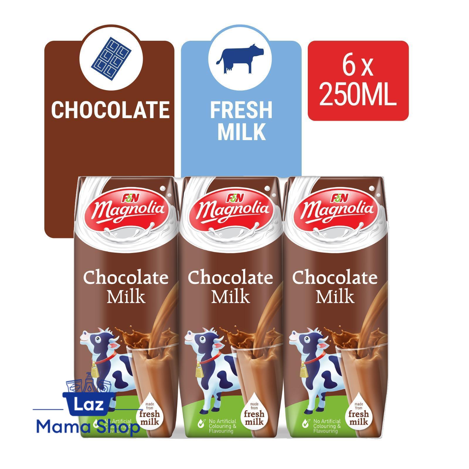 F&N MAGNOLIA UHT Chocolate Milk 250ML x 6 | Lazada Singapore