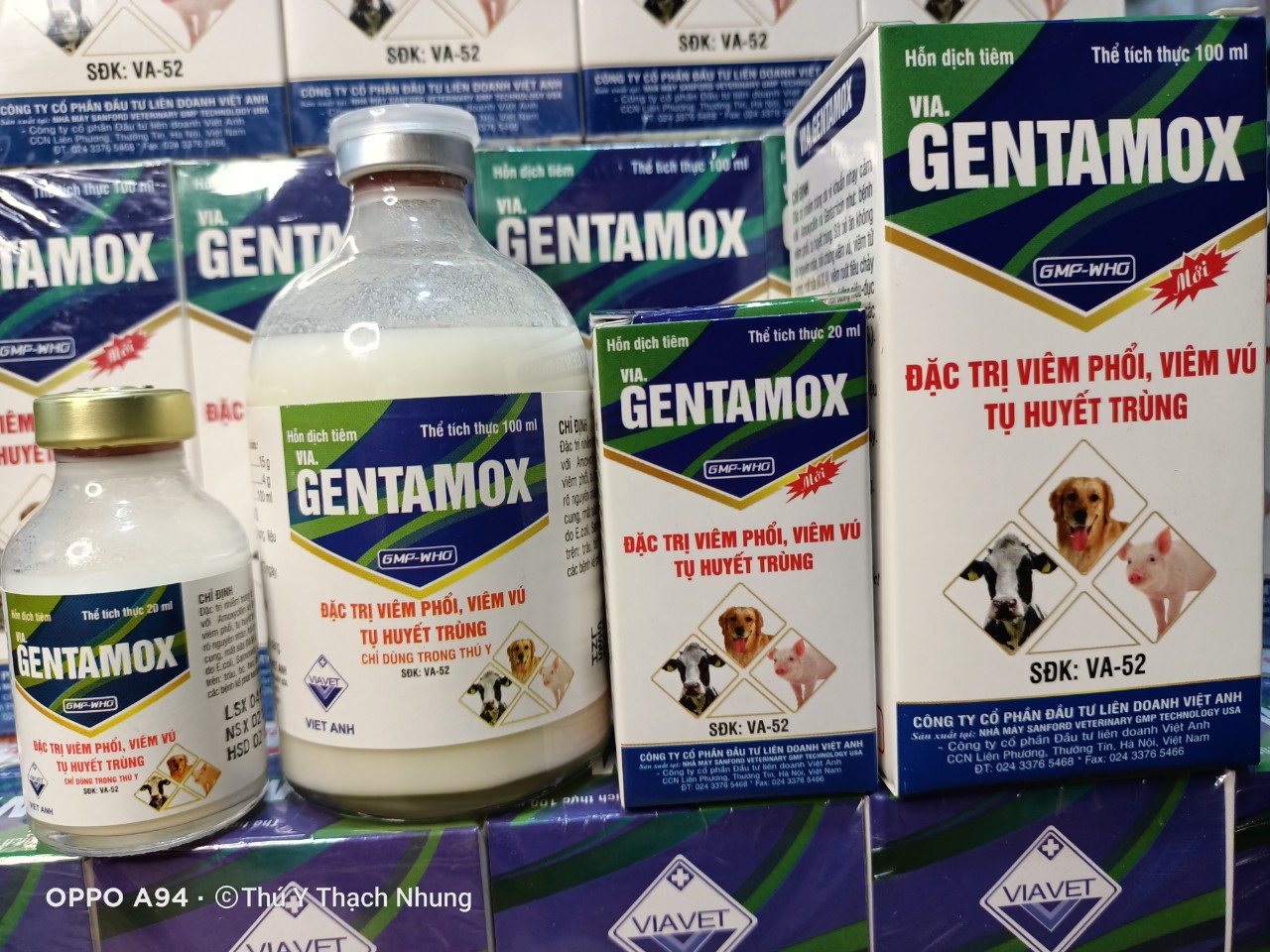 via GENTAMOX (Chai 100ml). Thành phần Genta_mycin và Amoxici_lin, Dùng ...