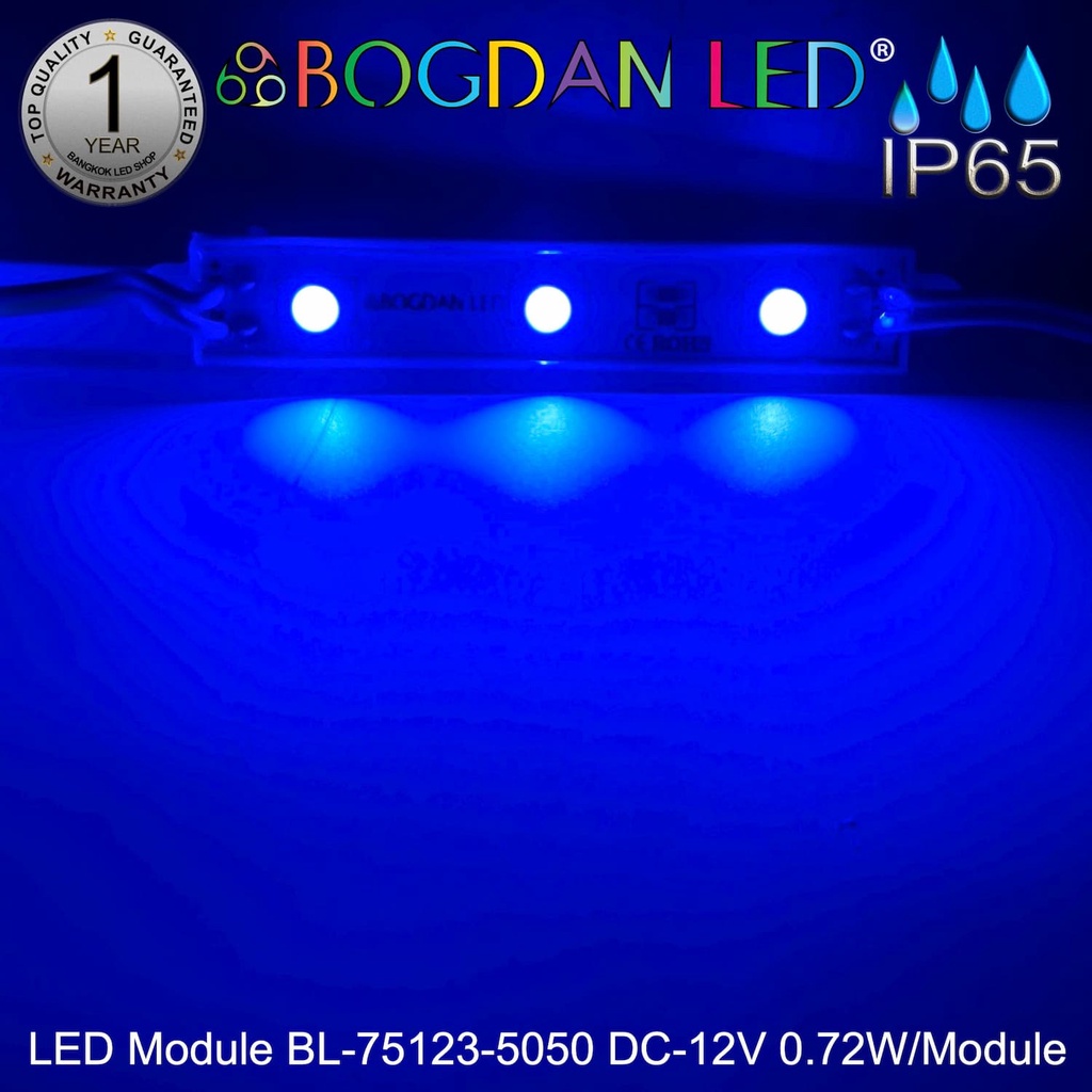 LED Module BL-75123-5050 DC-12V 0.72W/Module 14.4W/Panel โมดูลกันน้ำ ...