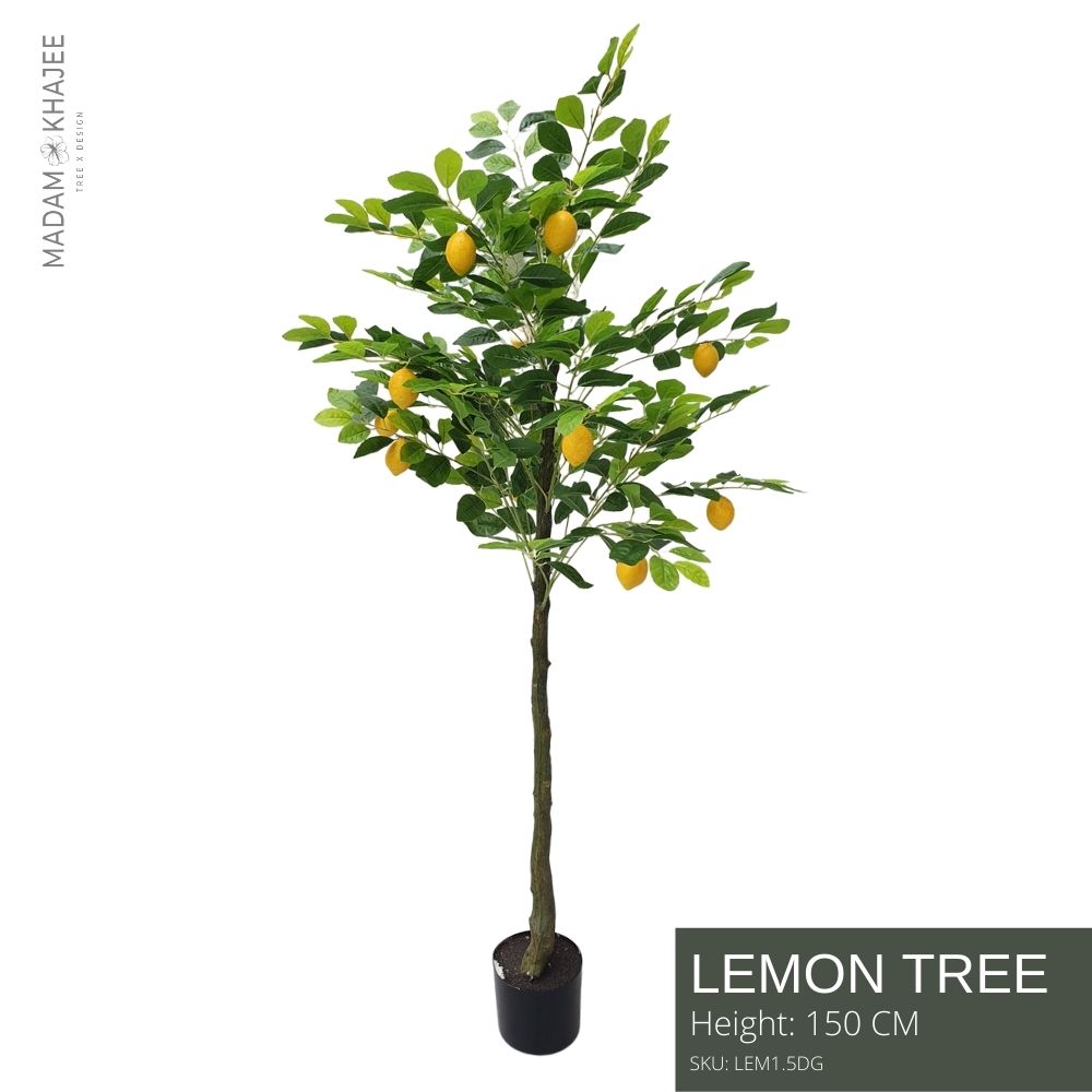 Lemon Tree - Height 150 cm ????ต้นเลม่อน ความสูง 150 ซม.ต้นไม้ปลอมเกรด ...
