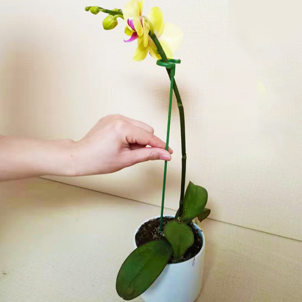 Single Stem Support Stake Fall-Proof Flower Stand Potting Style Support ...