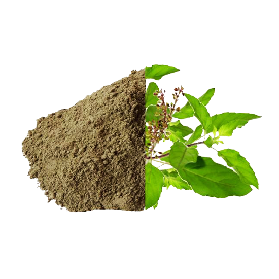 Krishna Tulsi Powder (100% PURE) (IMPORTED FROM INDIA) /Holy Basil ...