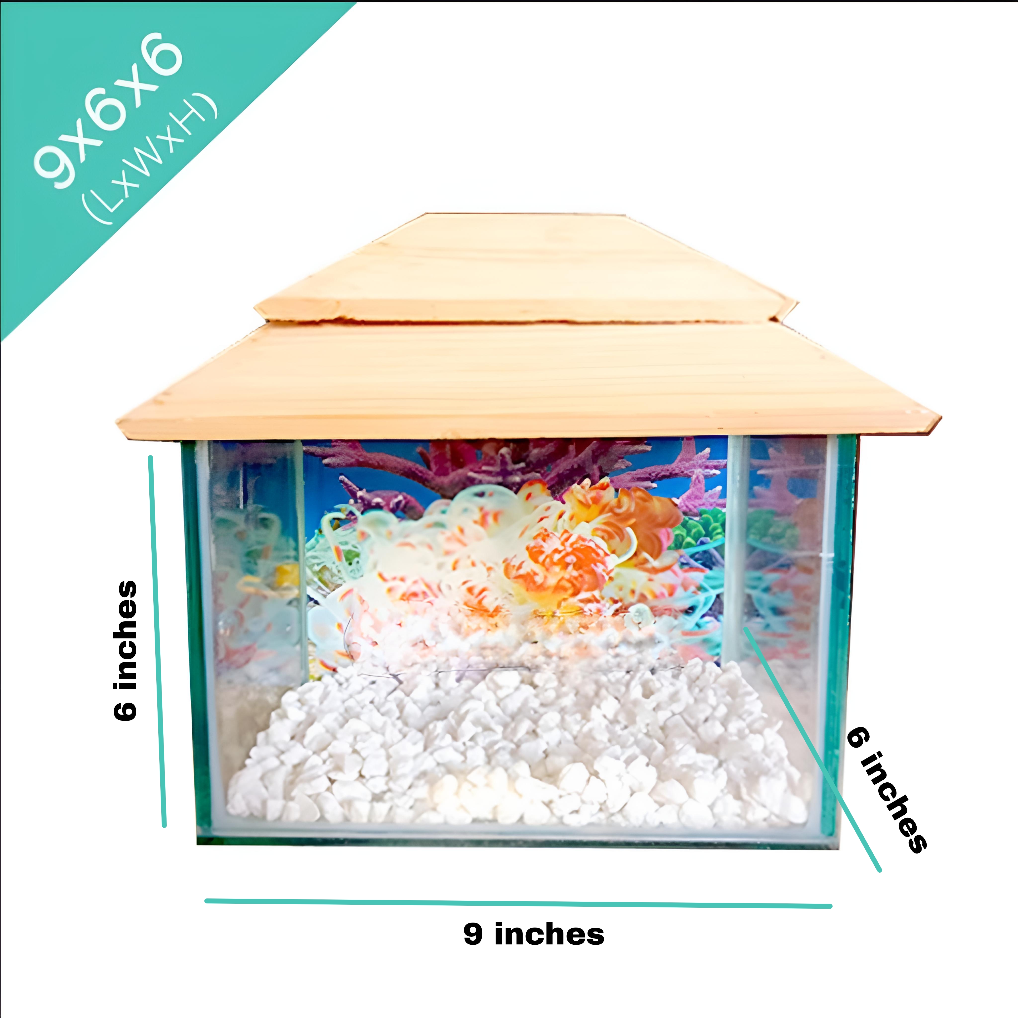 Glass Made Deshi Aquarium For Fish With All Accessories You Don't Have ...