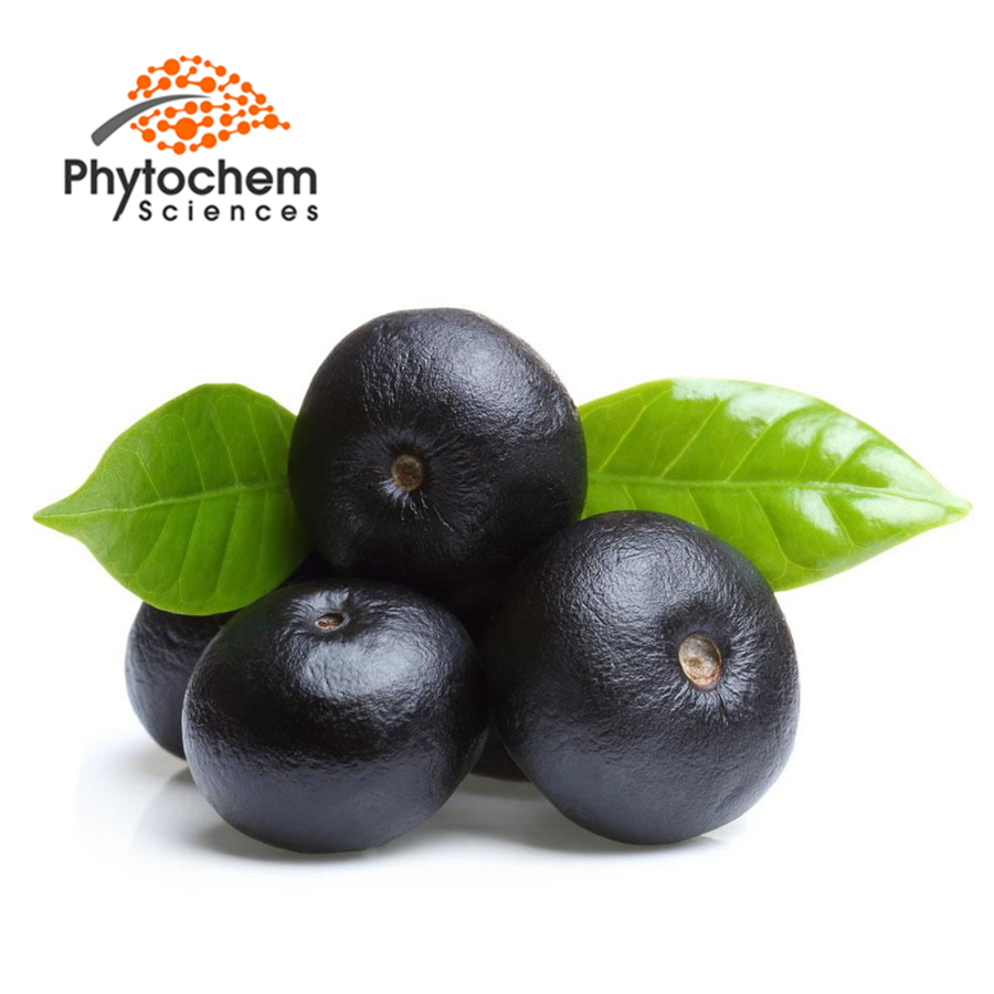 Organic Acai Berries Powder 50g [Freeze-Dried] – Pure Brazilian ...