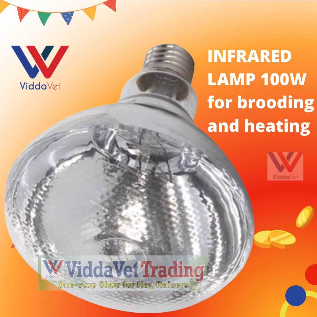 100 watts Infrared Heat Lamp Bulb for Livestock pigs poultry goat ...