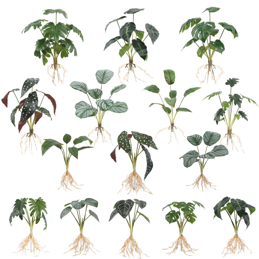 Green Arrowroot Tropical Plants with Root Artificial Flower Home Shop ...