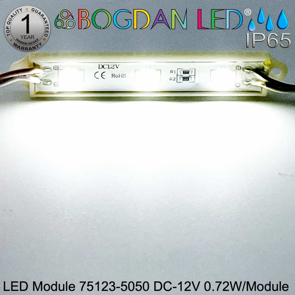 LED Module BL-75123-5050 DC-12V 0.72W/Module 14.4W/Panel โมดูลกันน้ำ ...