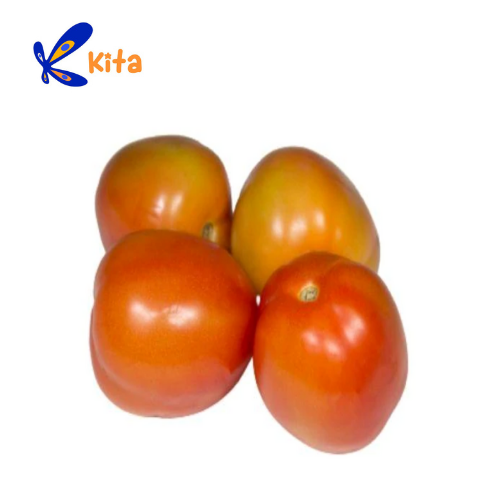 Tomato - Kamatis | Lazada PH