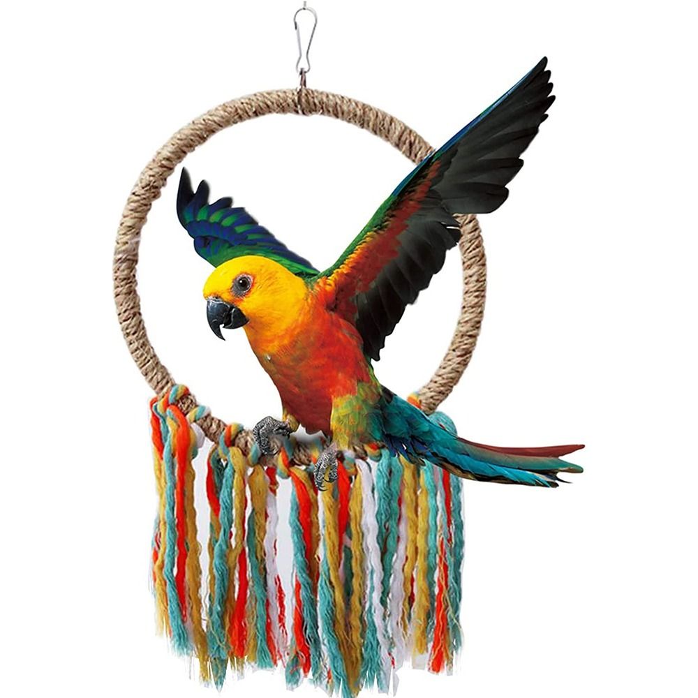 Parakeet Conures Hanging Cotton Rope Climbing Chewing Bite Circle Perch ...