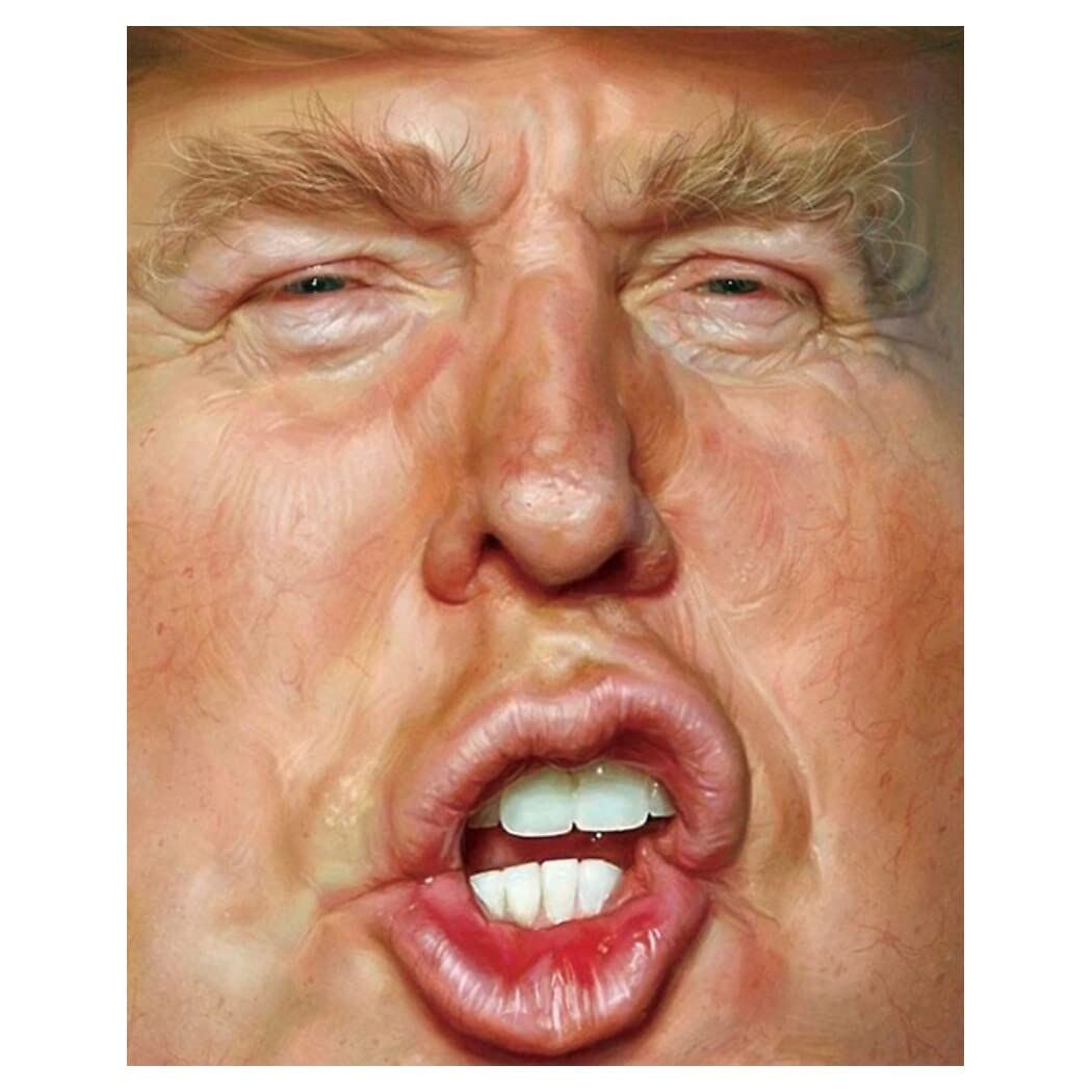 Donald Trump Cartoon Donald Trump Poster President Wall Art Print For ...