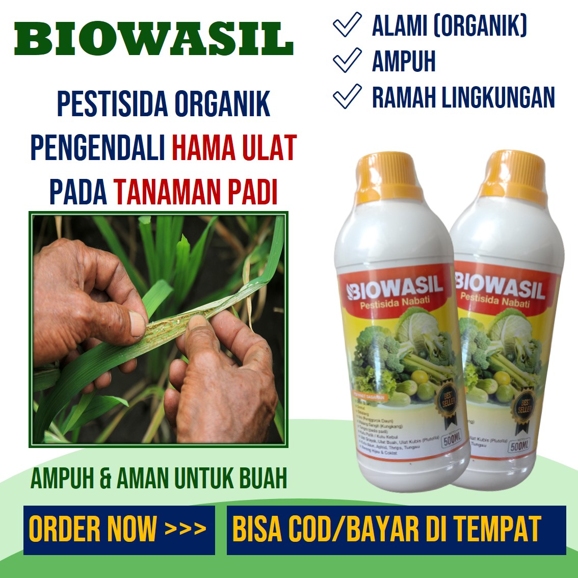 (REKOMENDED) PESTISIDA Semprot Hama Ulat Sundep Padi Paling Manjur ...