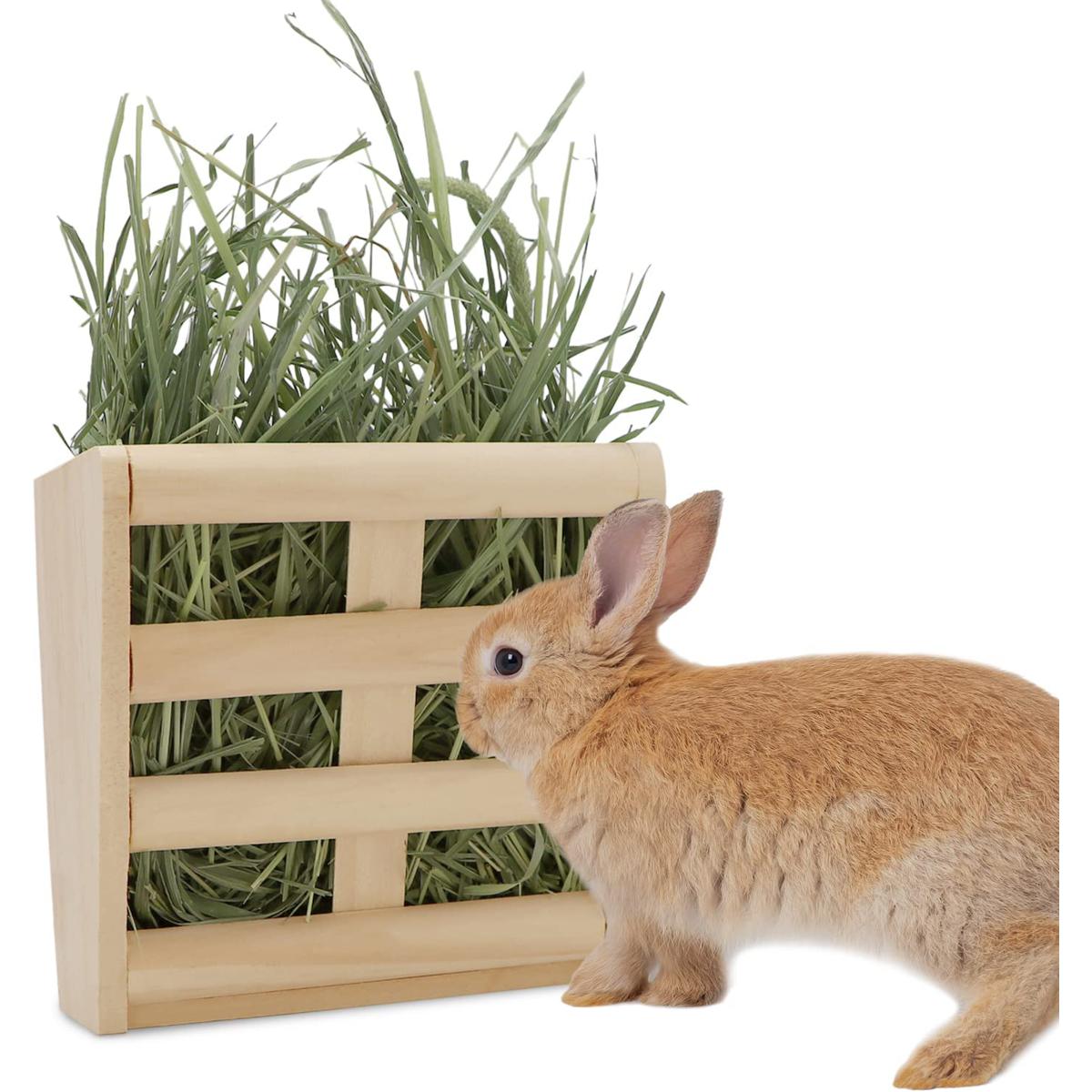 Small Pet Select 2nd Cutting Timothy Hay Pet Food, 1 kg - Rabbit food ...