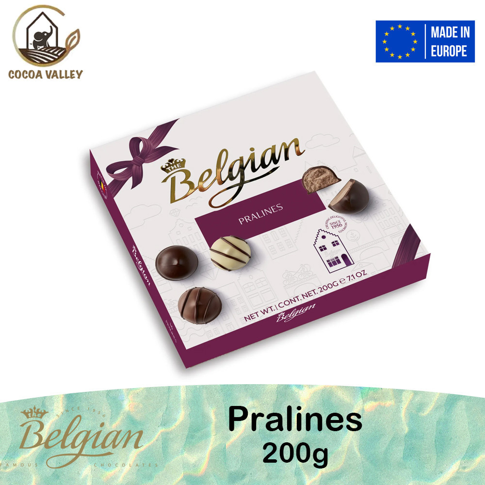 Belgian 16 Pralines Chocolate Box 200g | Lazada