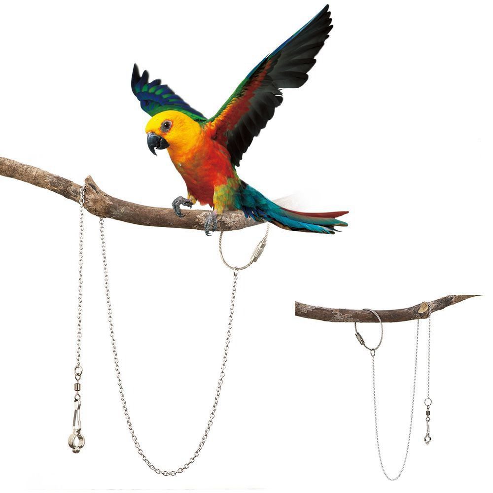 Flying Training Cockatiel Starling Outdoor Pigeon Parrot Foot Ring Bird ...