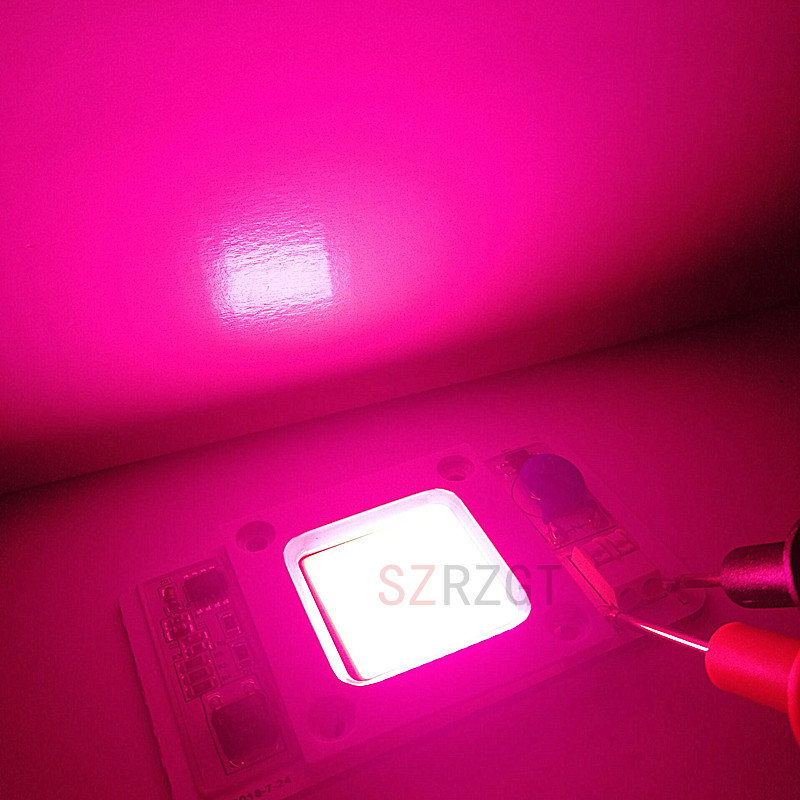 【Unique features】NEW SZRZGT 1PCS 110V/220V 50w cob led grow light chip ...