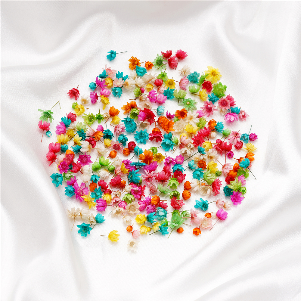 St.kunkka 1g/bag about 140pcs Colorful Dried Flower Head Flower Mini ...