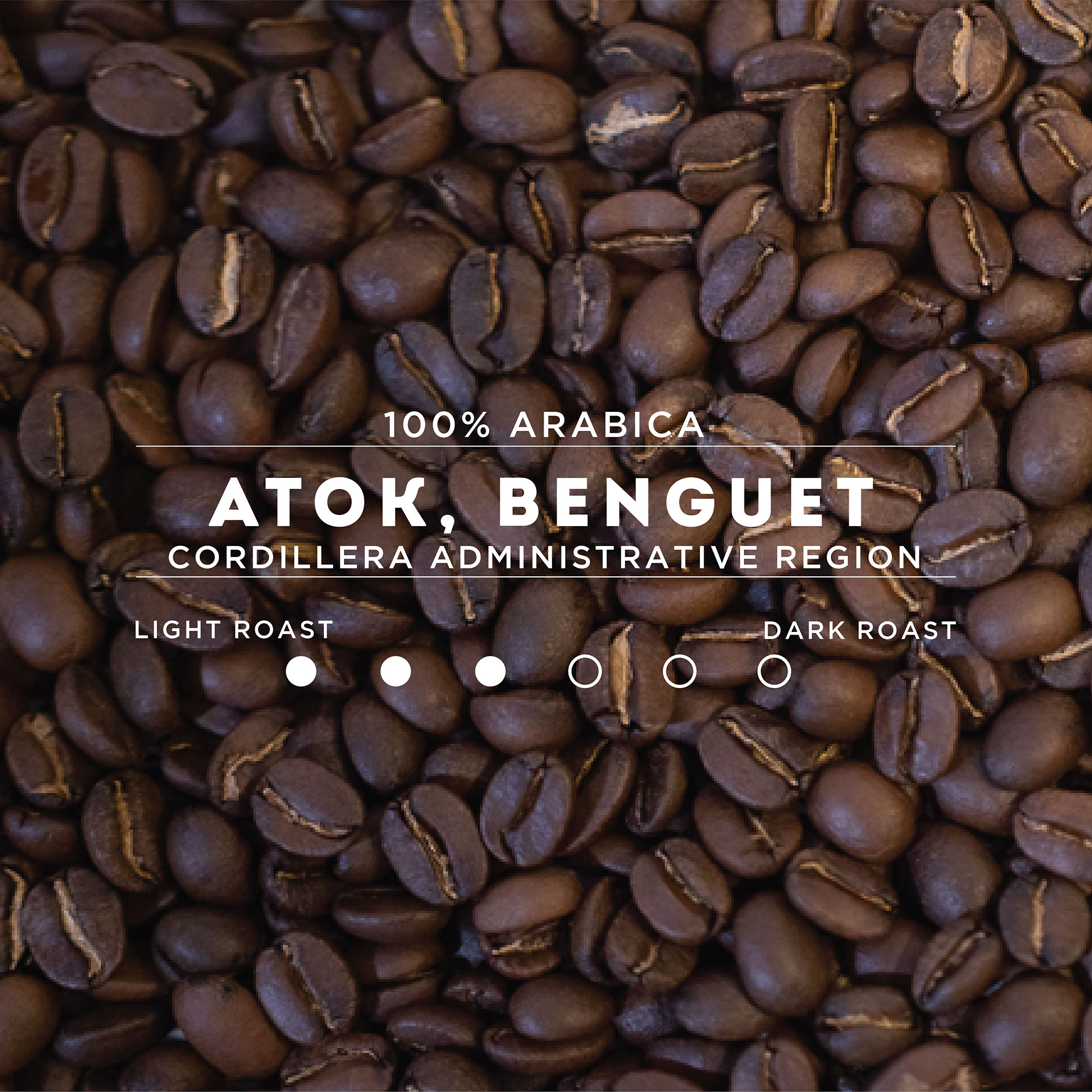 5Kgs Atok, Benguet Premium Primal Brew Roasted Coffee Beans / Coffee ...