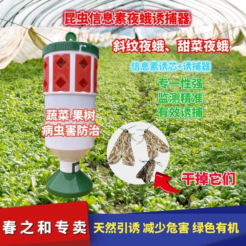 Spodoptera Litura Pheromone Sex Trap Greenhouse Trap Moth Trapcsr Lazada Ph