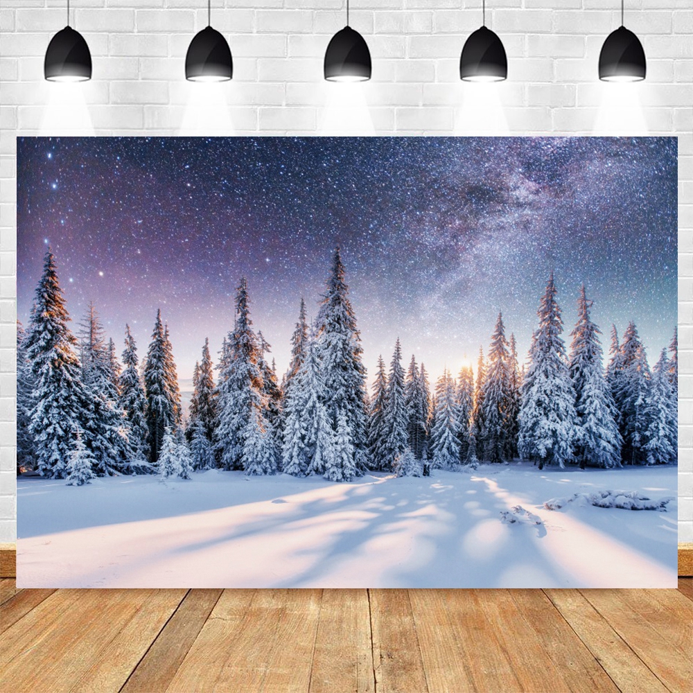 Winter Nature Scenery Photography Backdrop Snow Scene Forest ...