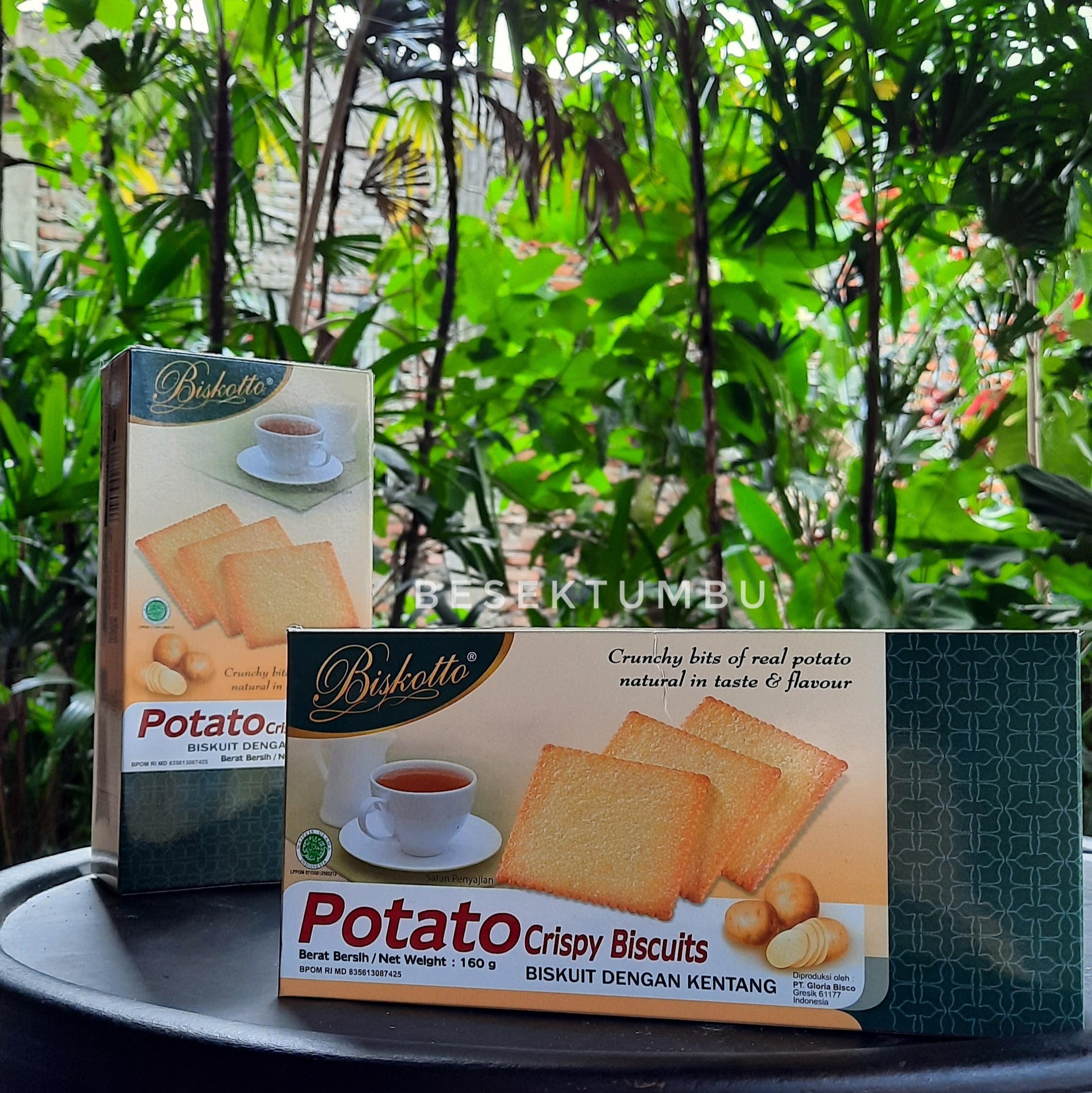 BISKOTTO POTATO 160 gram 1 DUS / BISKUIT KENTANG / BISKUIT LEBARAN ...